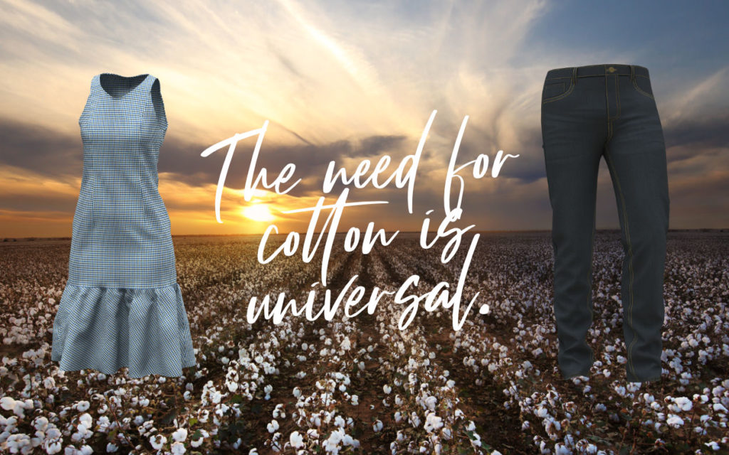 Reborn Digital: Could Cotton Carve A Path For A New Generation Of ...