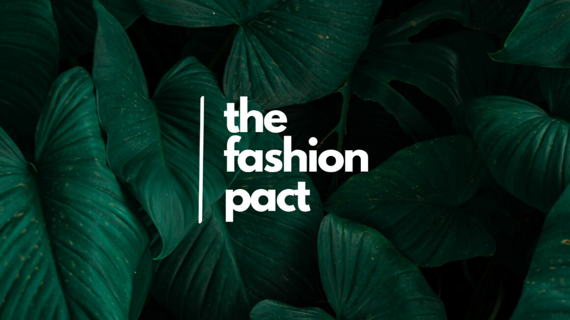 Rhetoric and Regulation: We Need Immediate Action On Fashion’s Impact ...