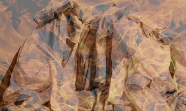 Stacy Marcus X Keri Bruce X Emily Faro, Author at The Interline