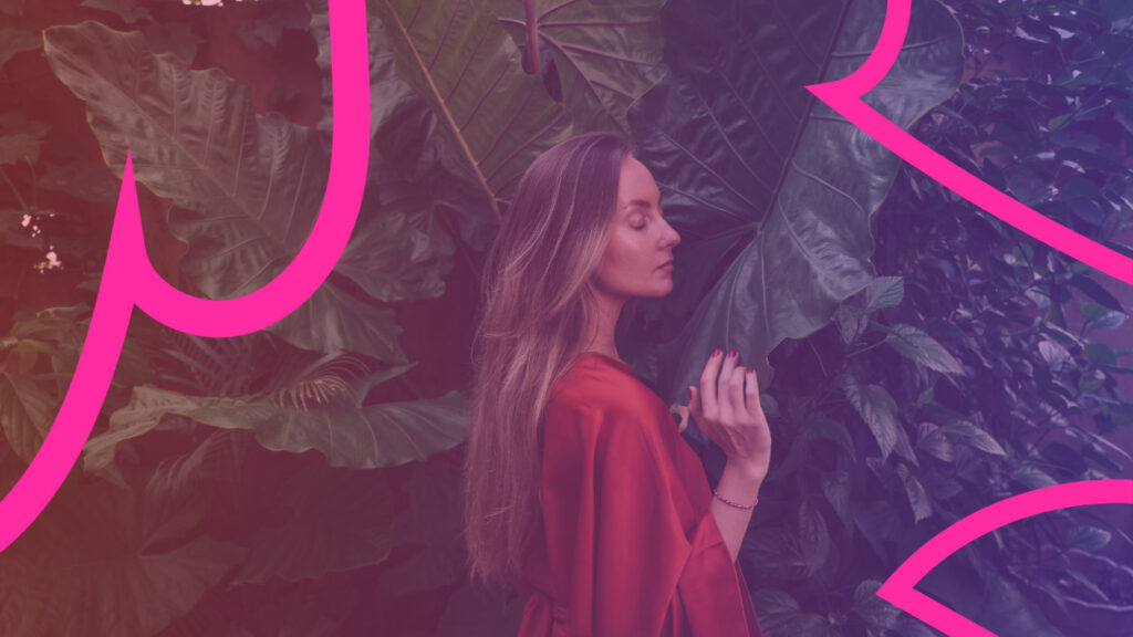 Conversations: Mark Harrop, CEO & Founder, WhichPLM - The Interline