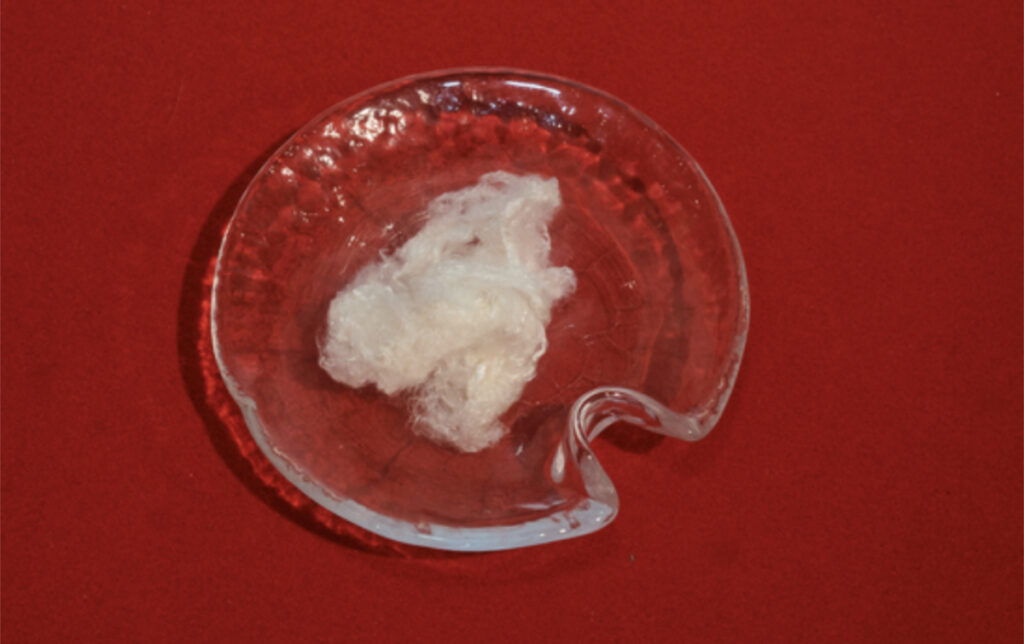 Between Aspiration and Action: The Viability of Creating New ...